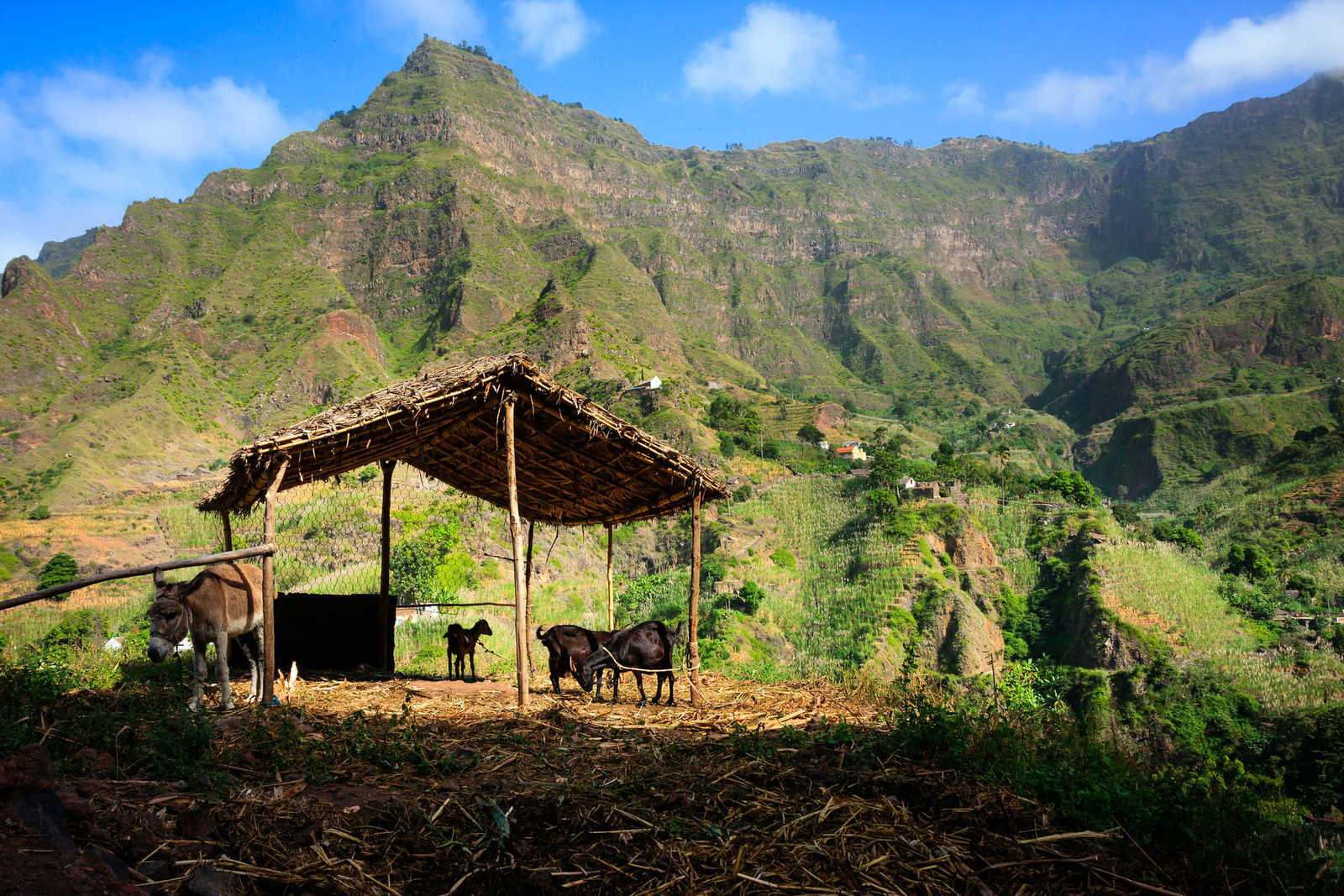 Trek au Cap Vert : la Traversée de Santo Antão