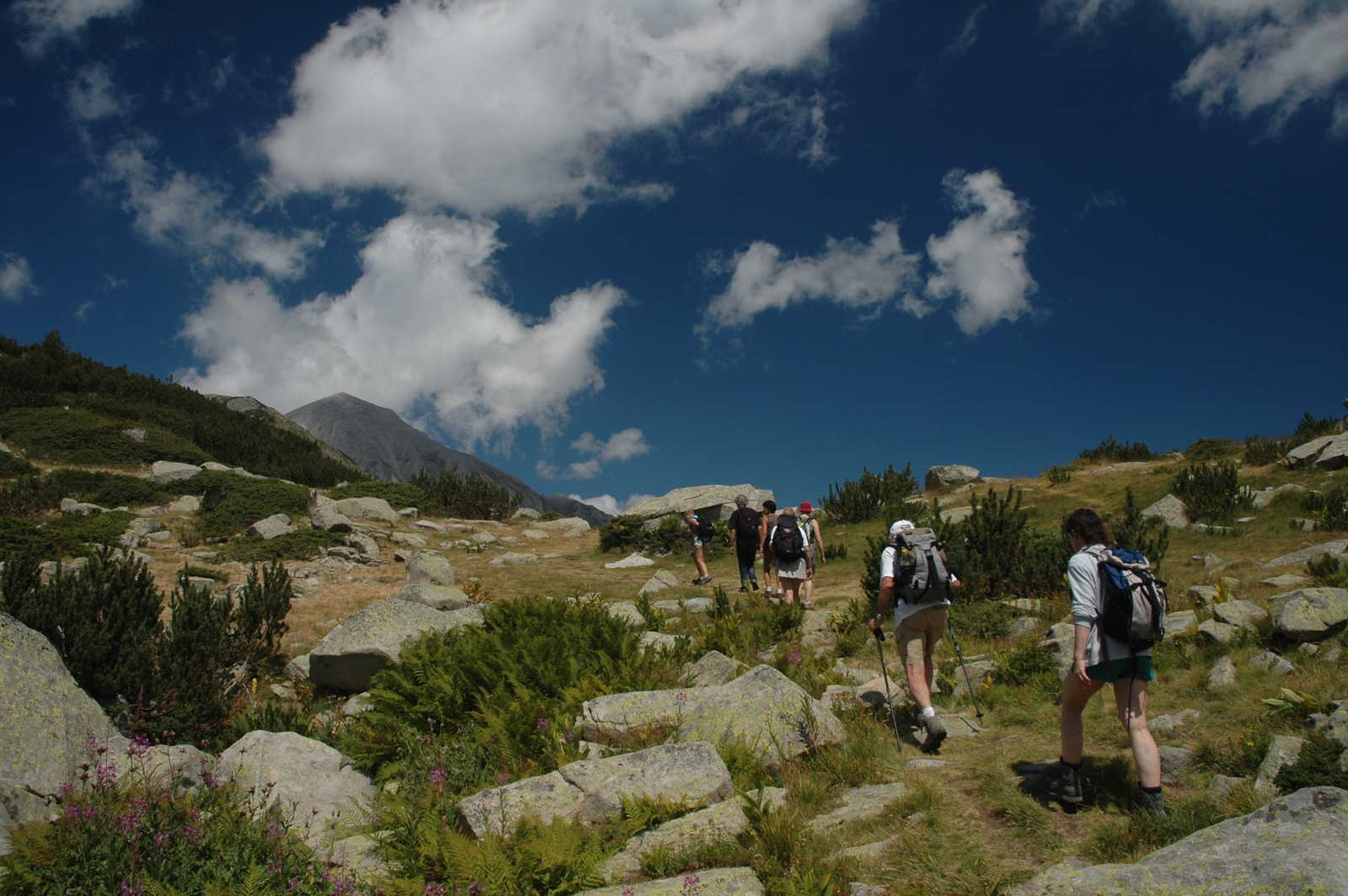 Trek sur les hauteurs de Sofia et massif du Rila - Voyage Bulgarie ...