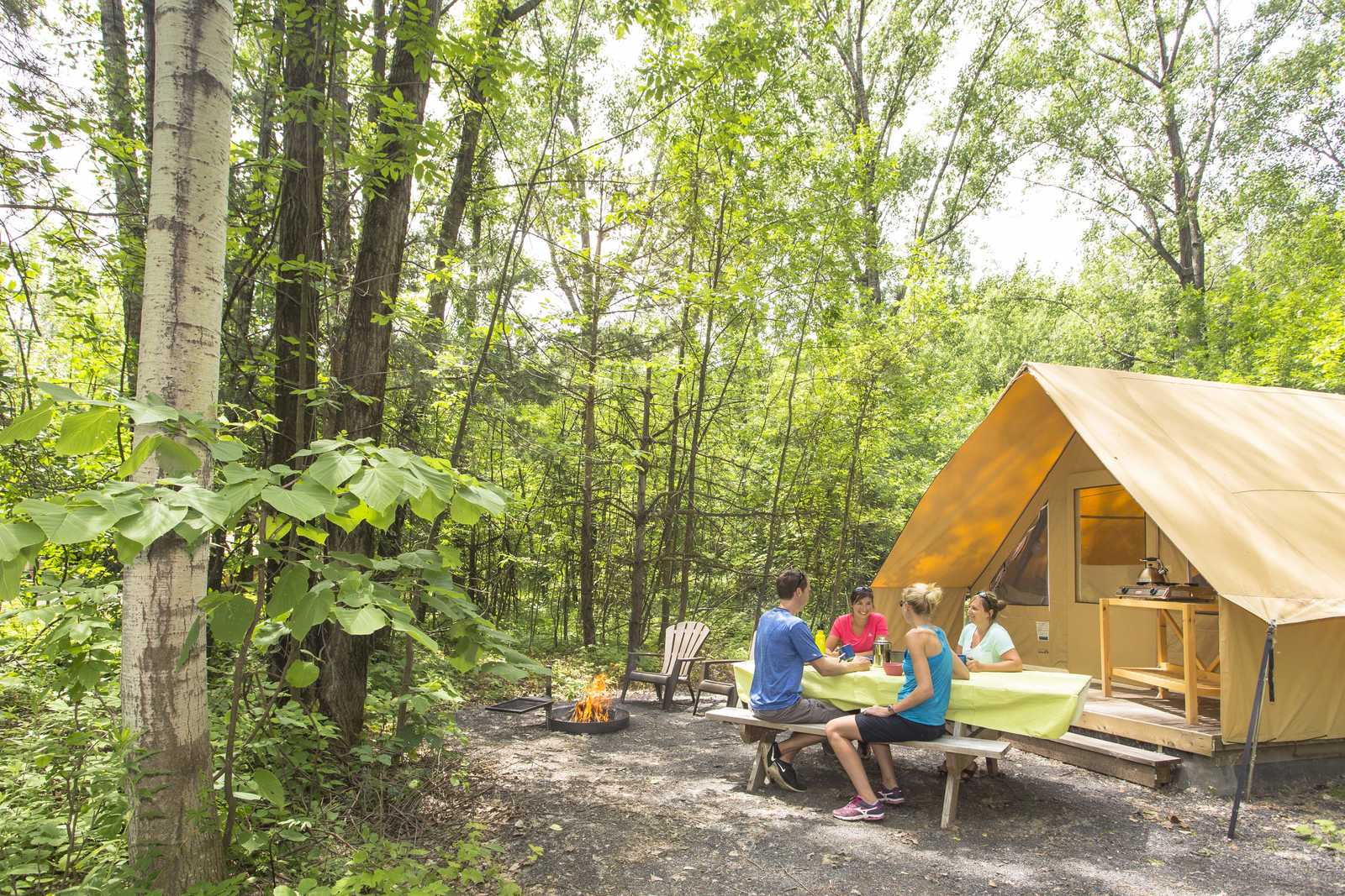 Gaspésie : des baleines aux Chic-Chocs - Voyage Canada | Atalante