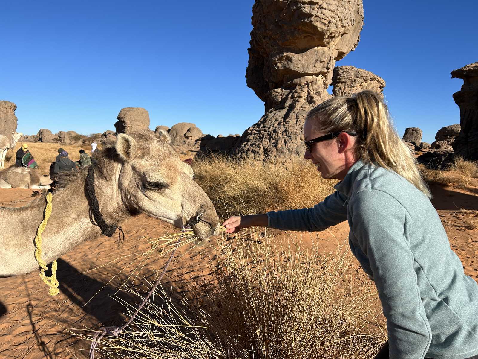 Découverte du Sahara algérien - Voyage Algérie | Atalante