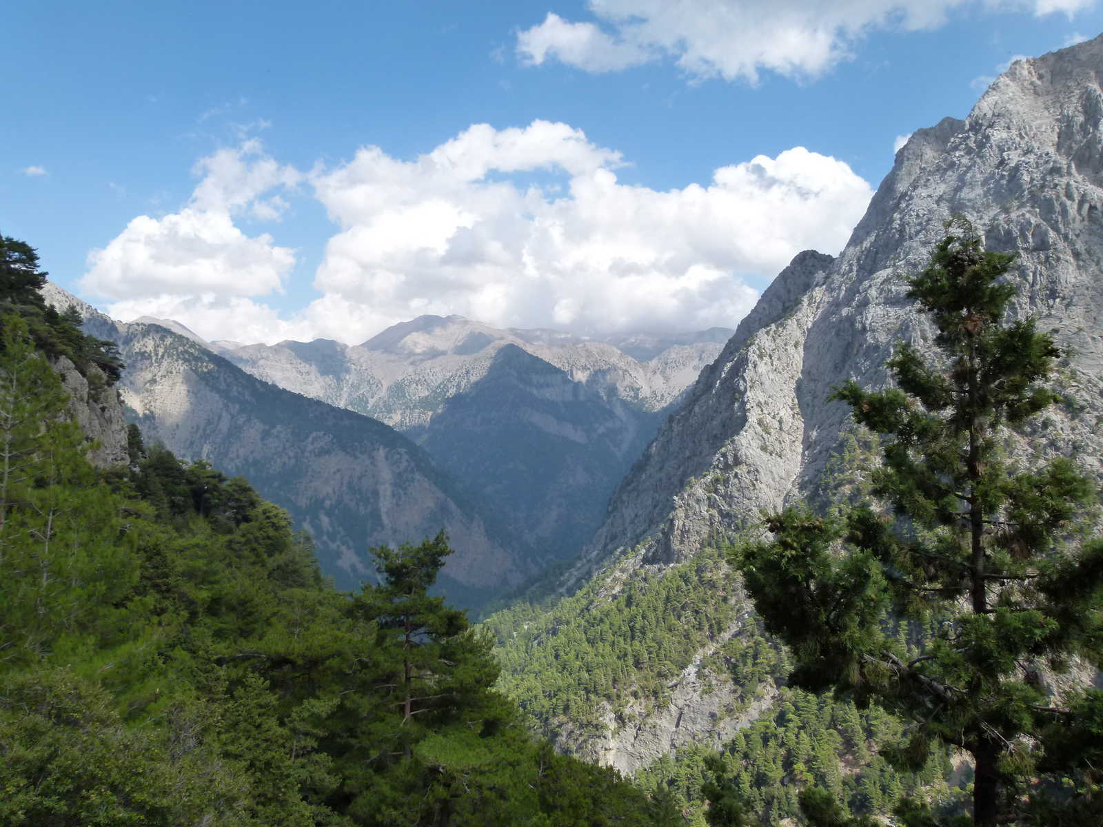 Des Montagnes Blanches aux gorges crétoises - Voyage Crète | Atalante