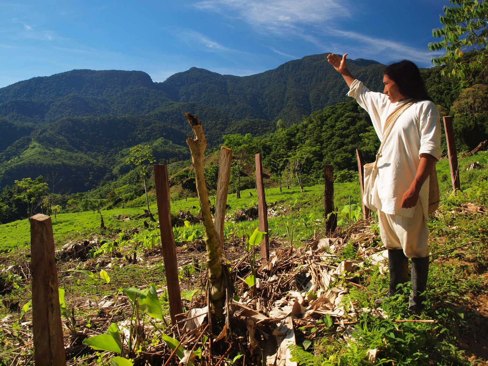 Voyage en Colombie : toutes les infos pratiques | Atalante