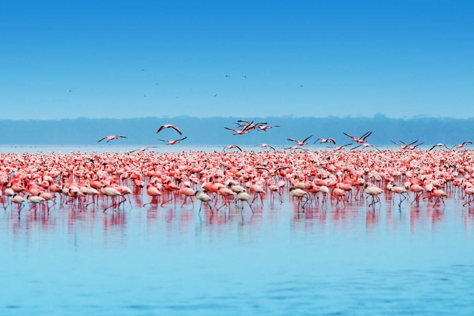 Best of safari et vallée du Rift en pays Masaï - Voyage Tanzanie | Atalante