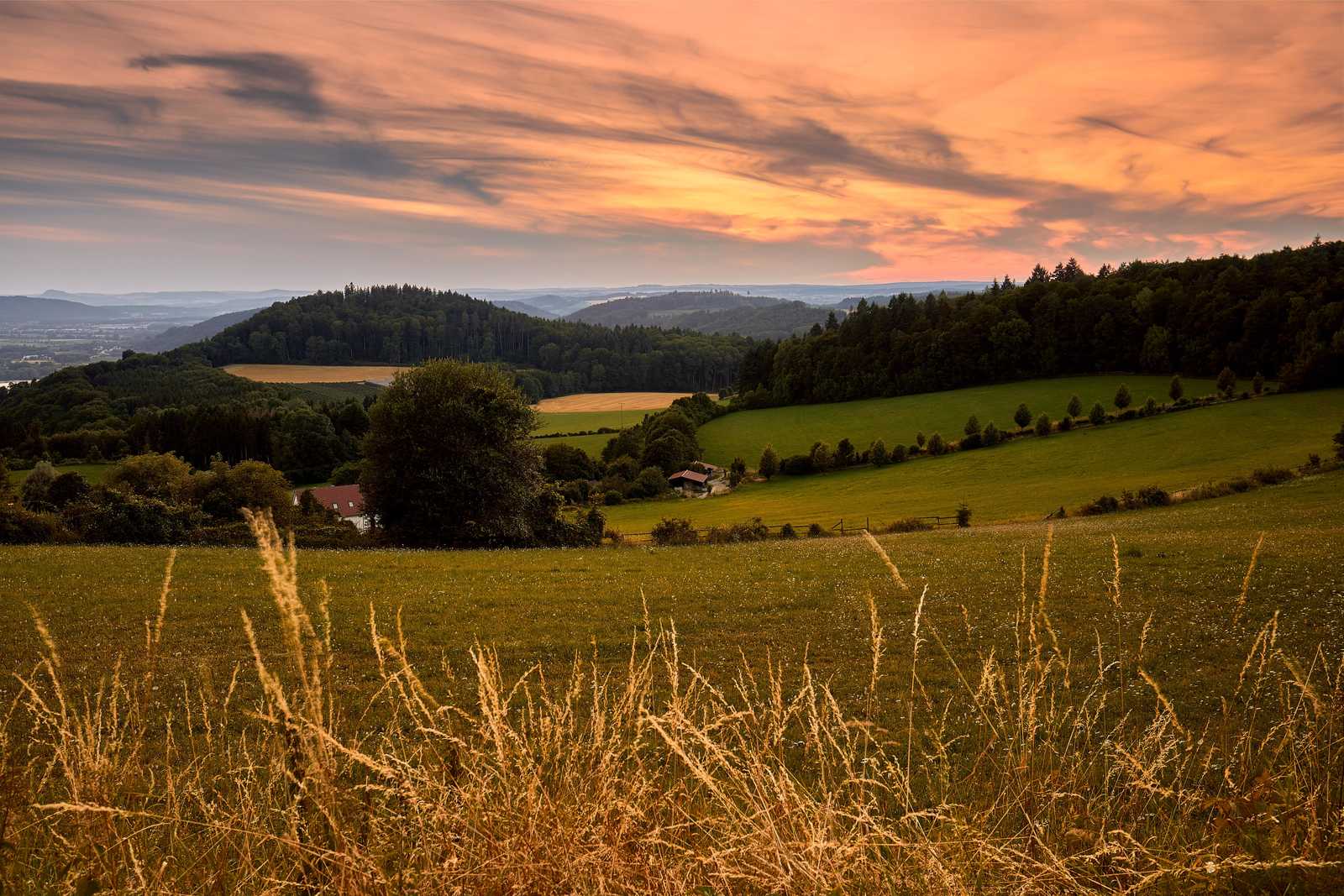 Forêt Noire en liberté : sans cerise, mais avec du dénivelé - Voyage ...