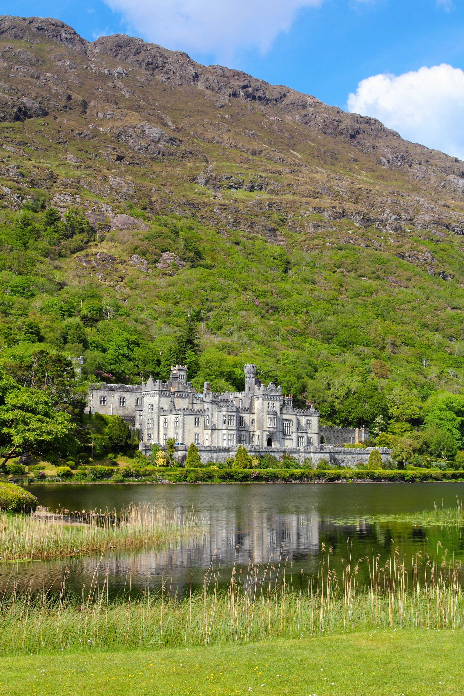Balade Irlandaise sur la côte Ouest
