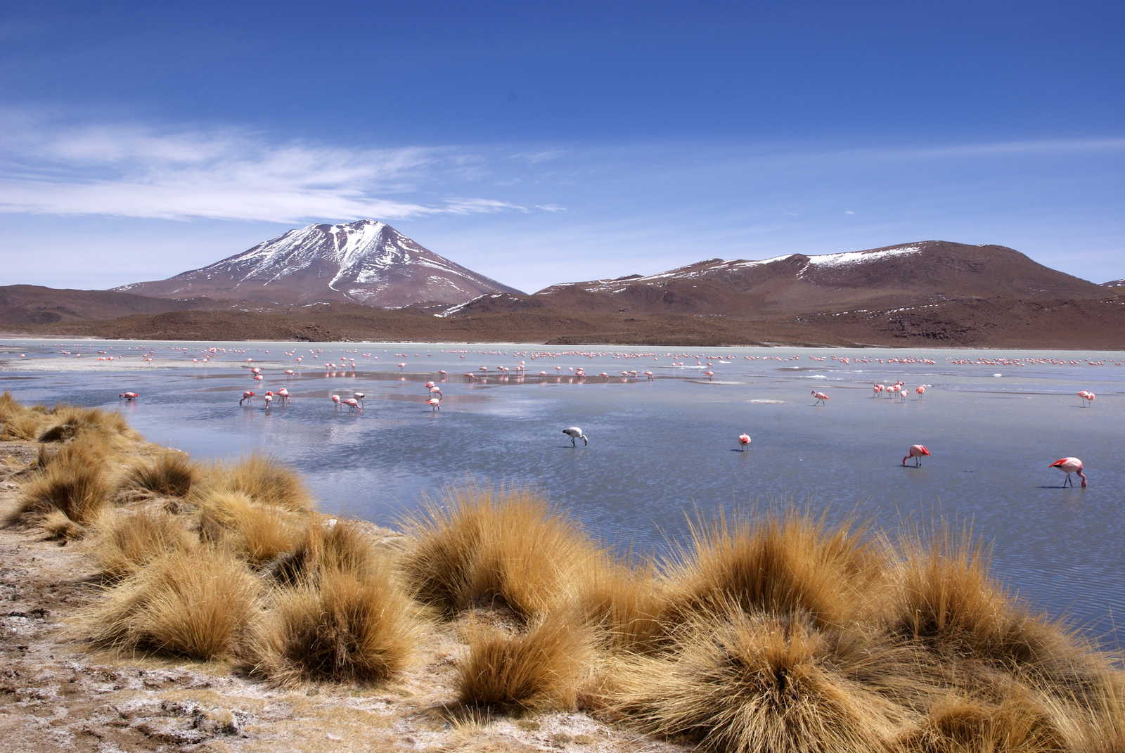 Aventure à travers les Andes : entre Chili, Pérou & Bolivie