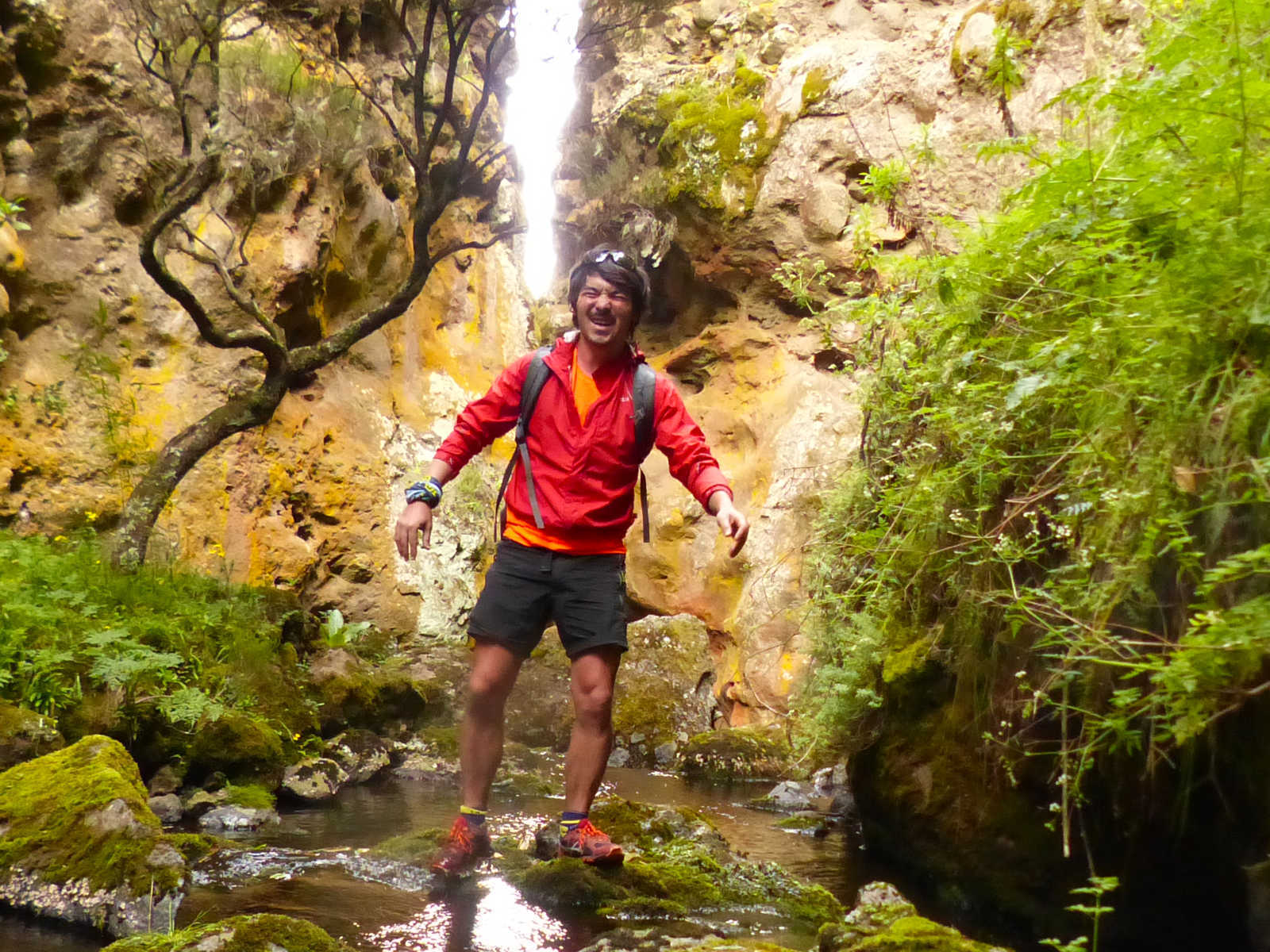 Ascension du Mont Kenya par la pointe Lenana - Voyage Kenya | Atalante