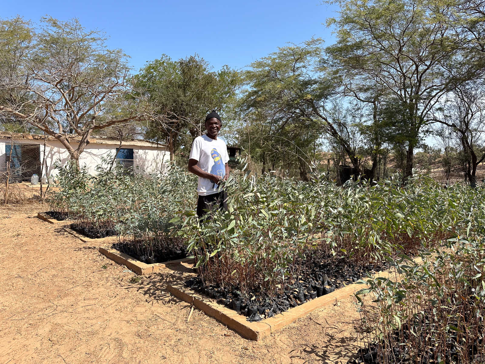 Sénégal authentique : entre dunes, mangroves et traditions - Voyage ...