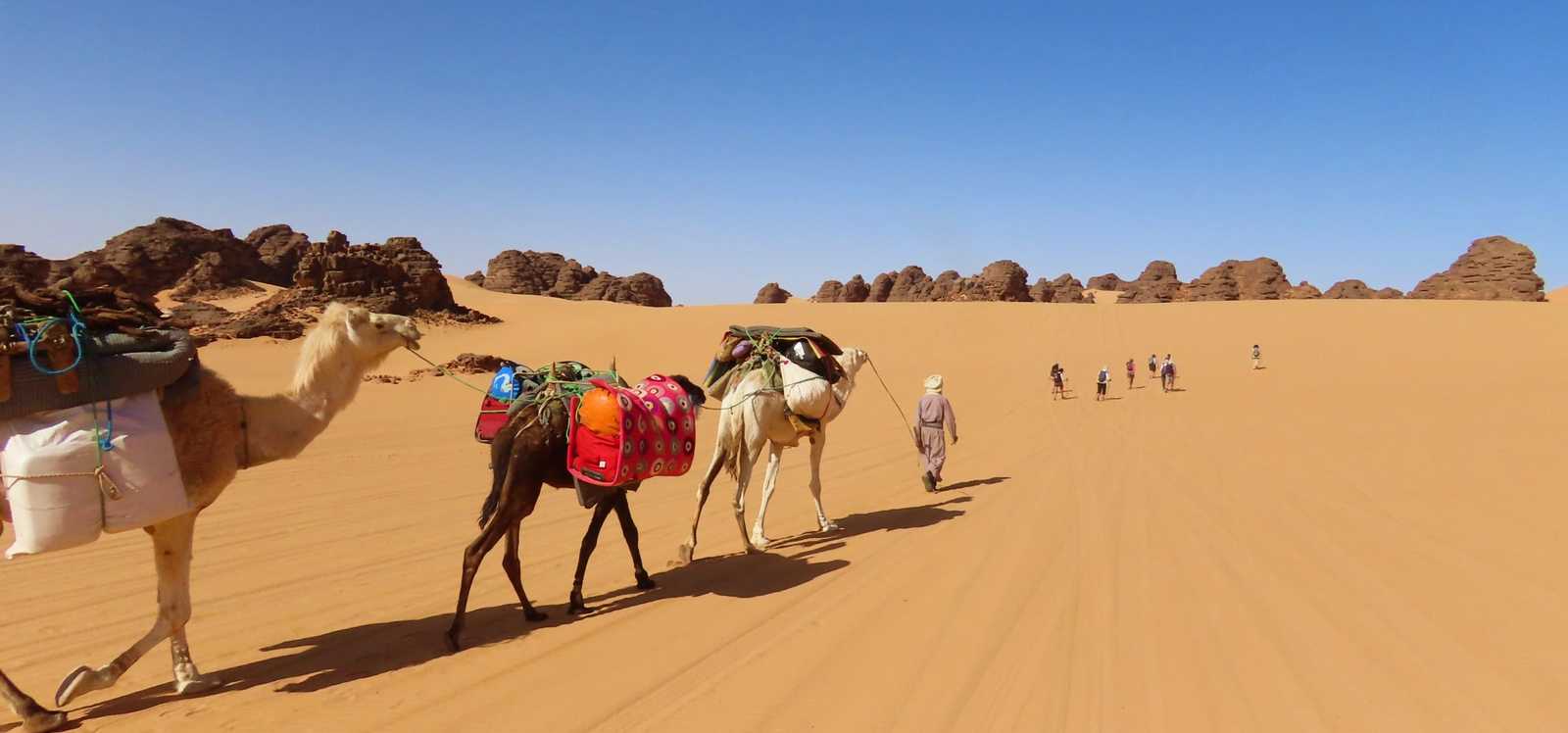 Tassilis Trek, des peintures de Tamrit aux dunes de l'Admer - Voyage Algérie | Atalante