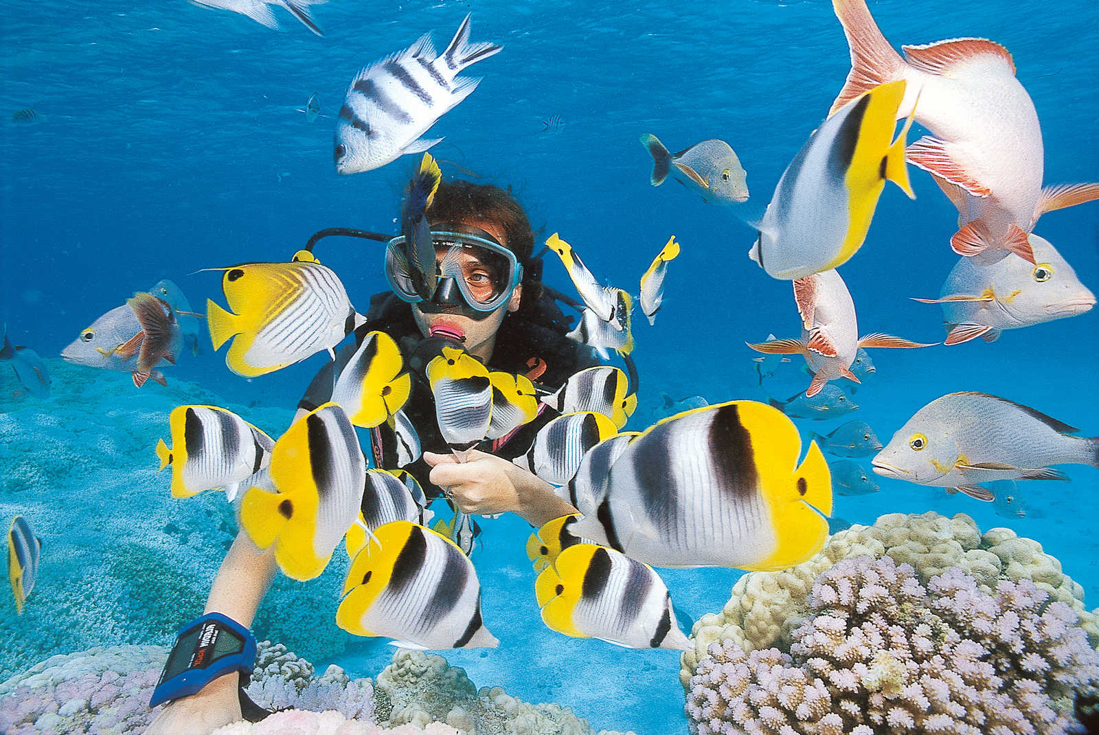 Du Caire à la mer Rouge en passant par le Nil - Voyage Egypte | Atalante