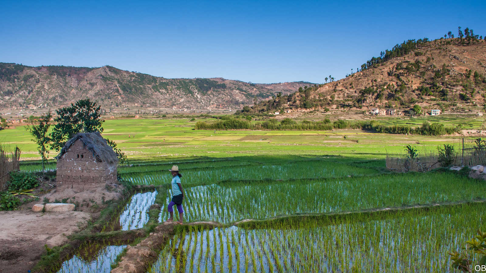 La totale ! - Voyage Madagascar | Atalante
