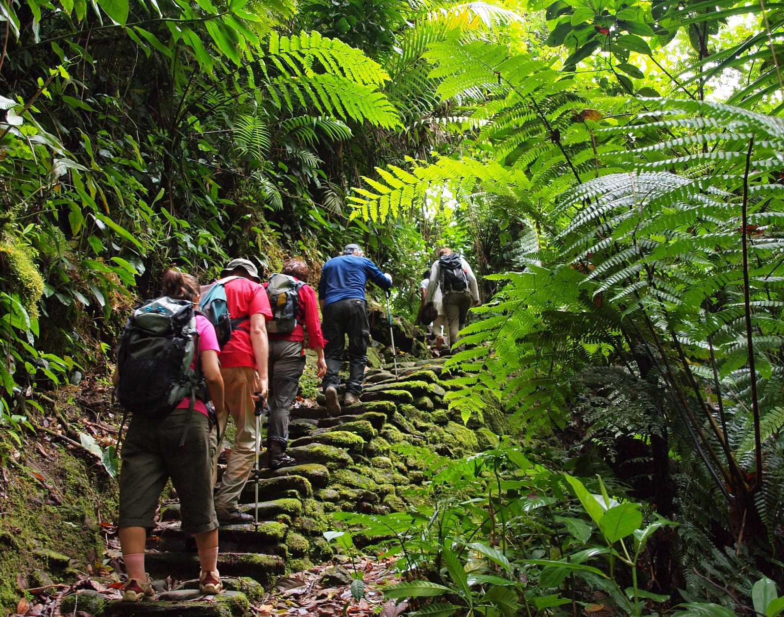 Trek de la Cité Perdue, Parc Tayrona et Carthagène - Voyage Colombie ...