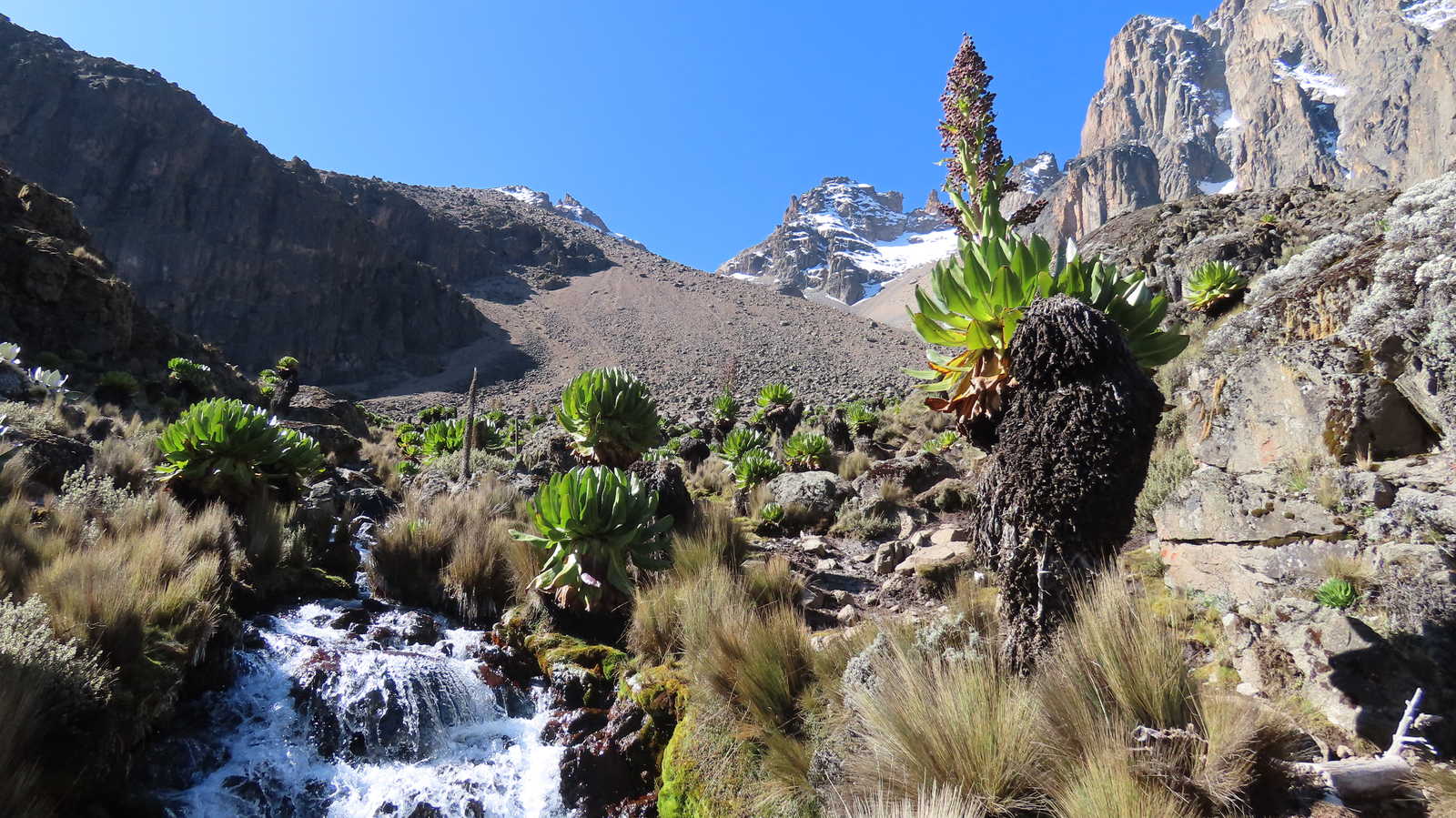 Ascension du Mont Kenya par la pointe Lenana - Voyage Kenya | Atalante