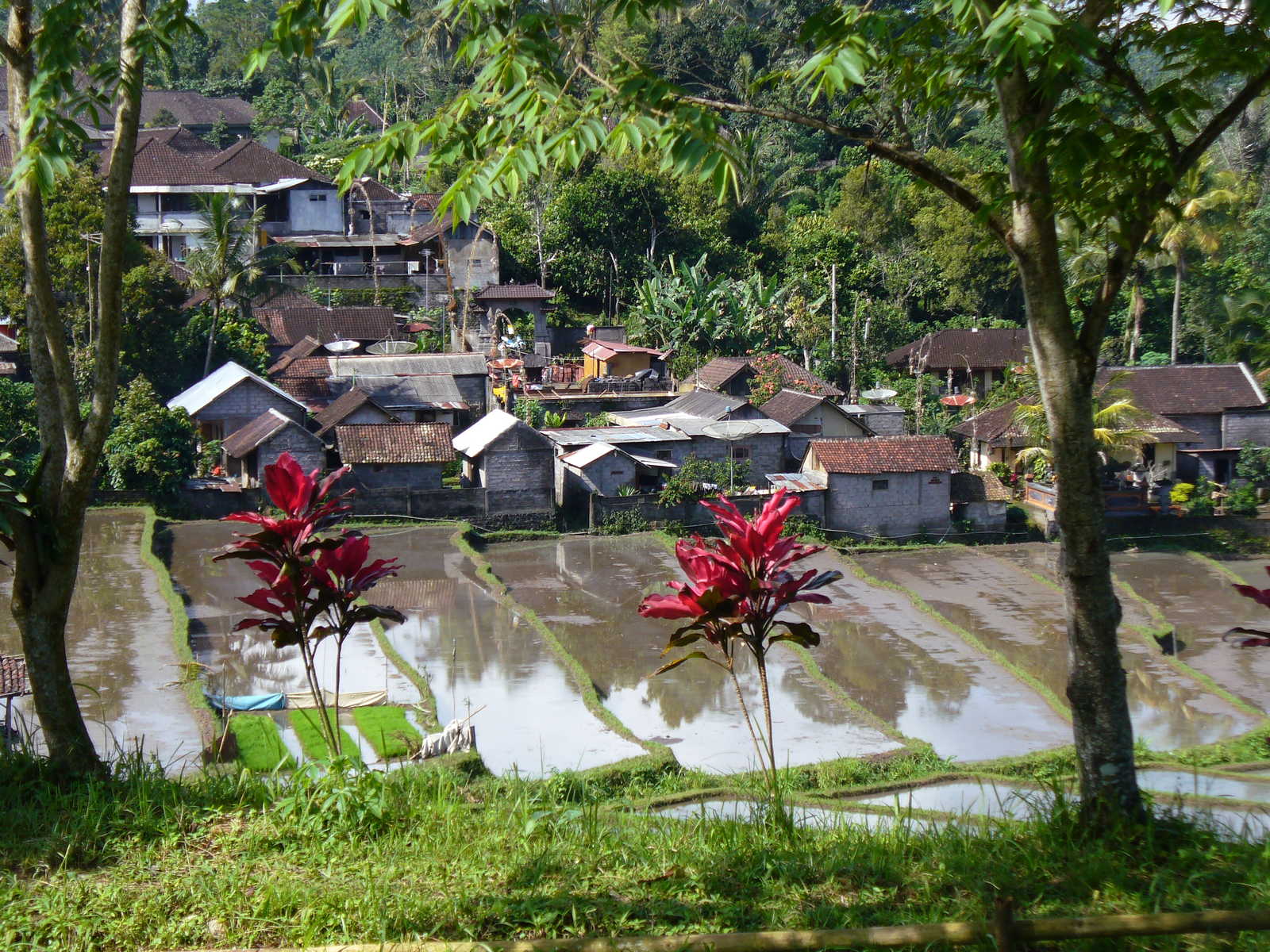 Esprit de Bali entre nature, culture et partage - Voyage Indonésie ...