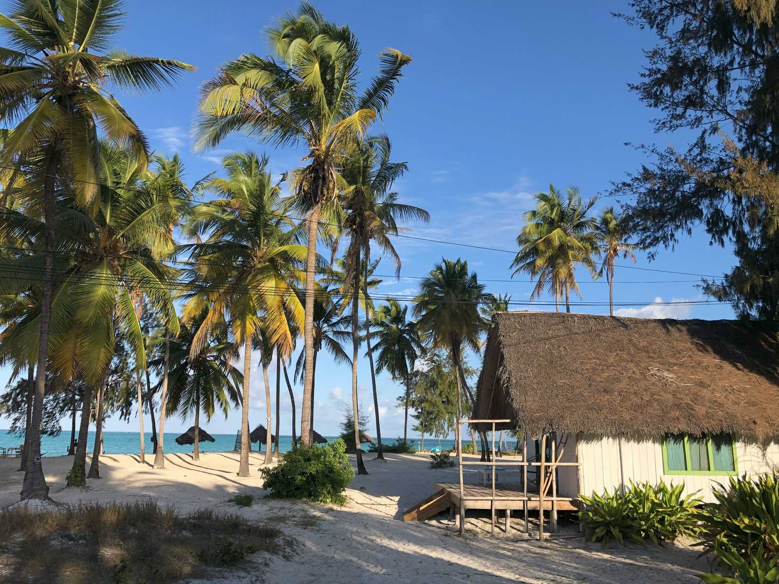 Kili, safaris et Zanzibar, toute la Tanzanie en un voyage ! - Voyage ...