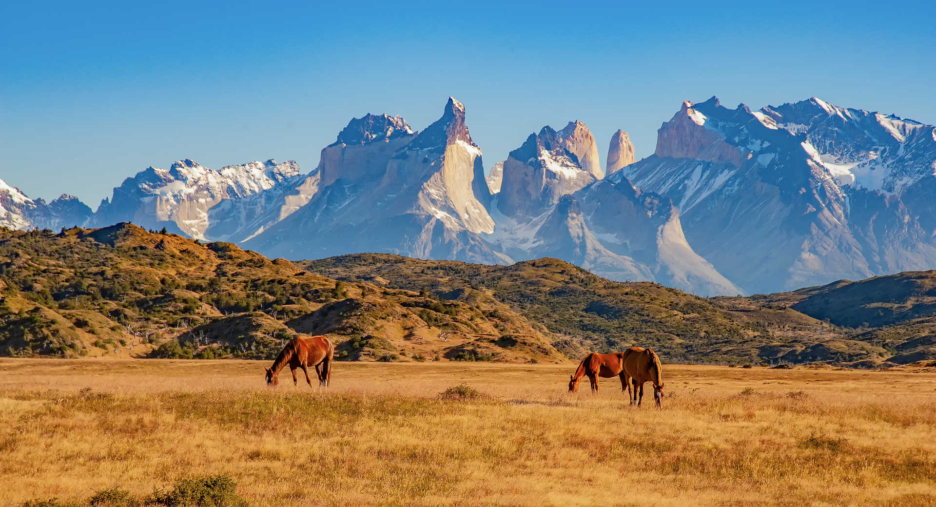 Voyages sur- mesure en Patagonie