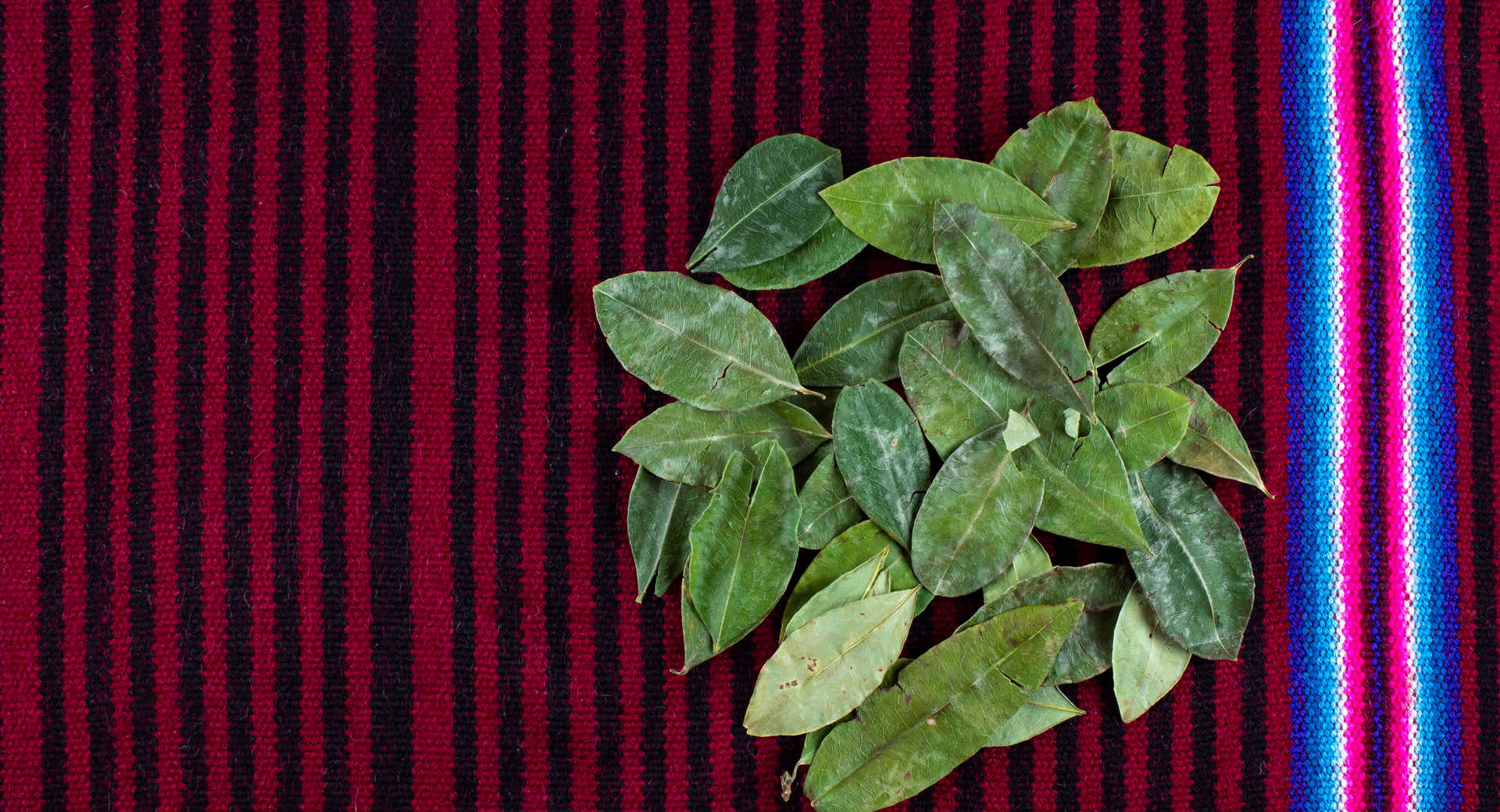 Feuille De Coca Acheter
