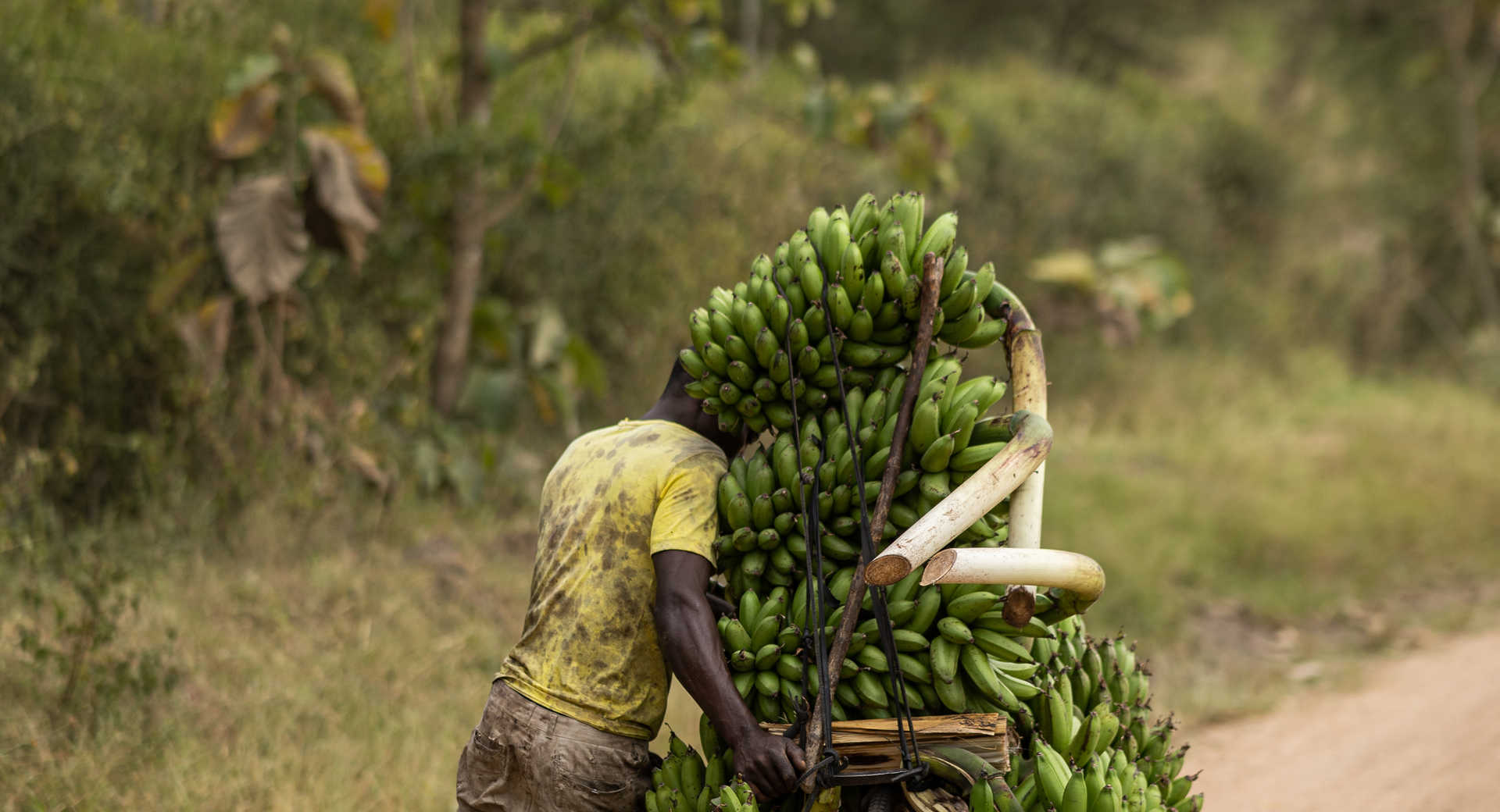 De l'Ouganda au Rwanda : une aventure au coeur de l'Afrique - Voyage ...