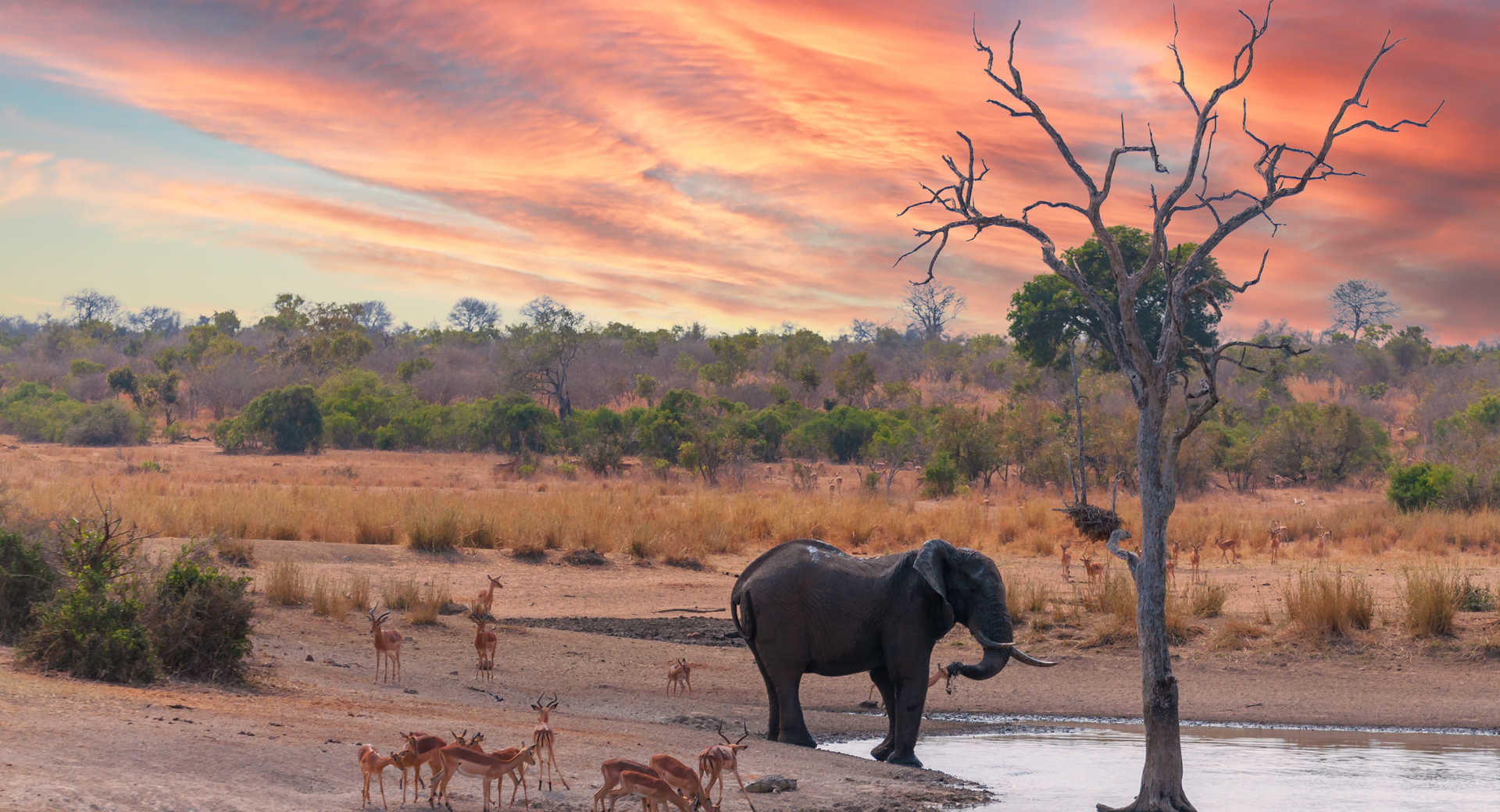 Découvrir les incontournables du Kenya en 8 jours