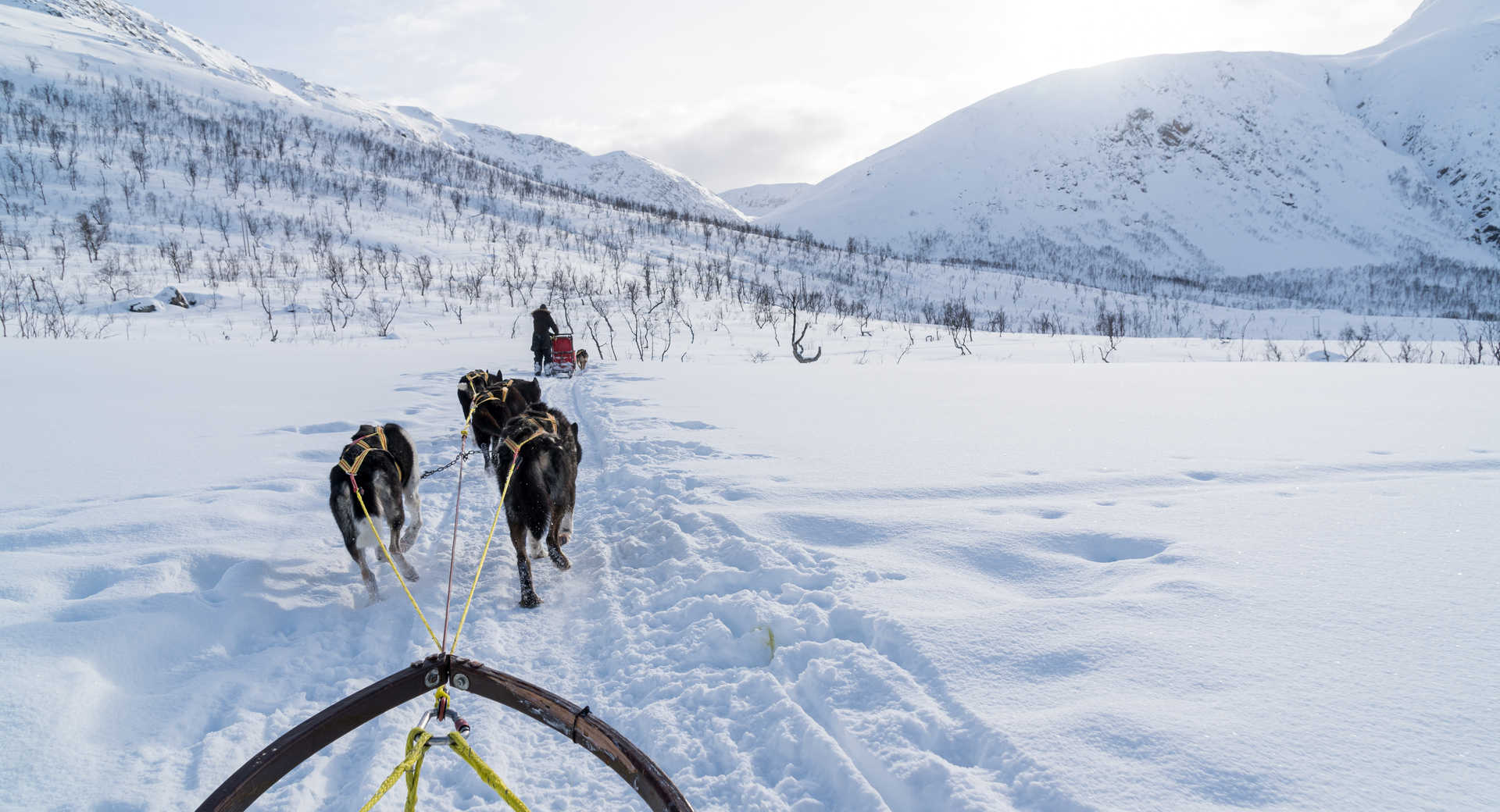 Extension Norvège : Liberté polaire à Tromso - Voyage Norvège