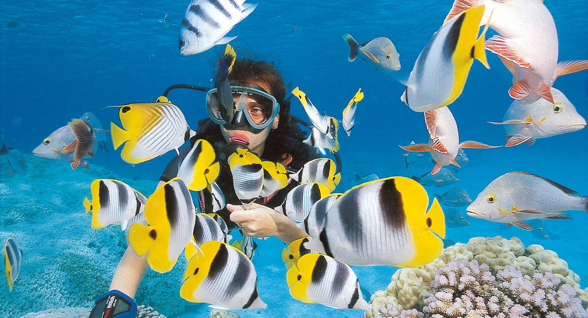 Extension mer Rouge - Voyage Egypte | Atalante