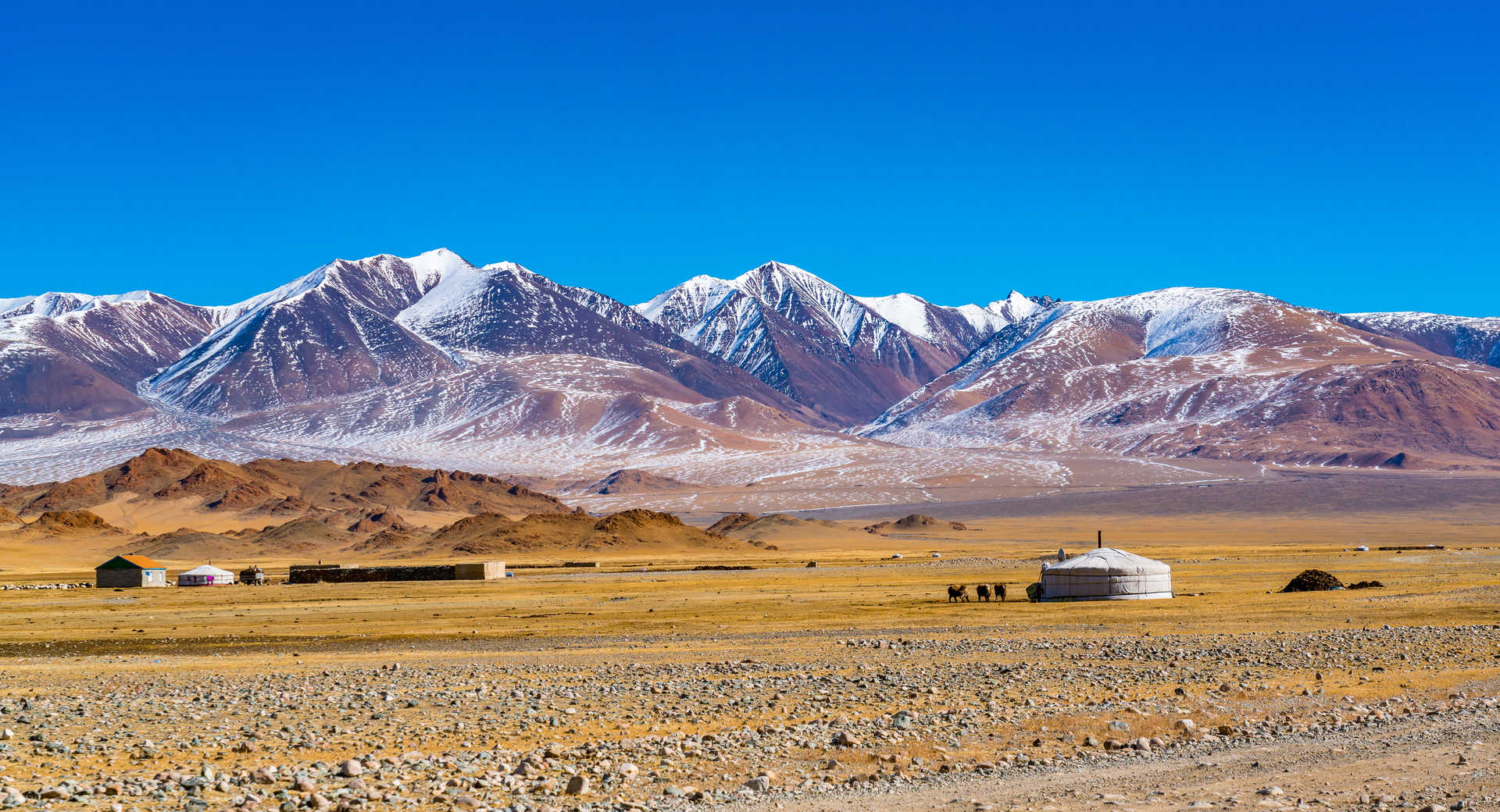 Trek et randonnée en Mongolie | Atalante